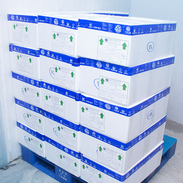 Tuna Fish | JSA EUROPE