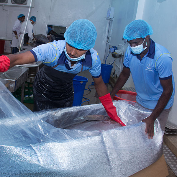 Tuna Fish | JSA EUROPE